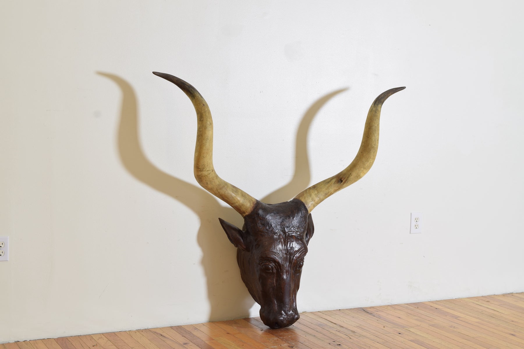 Significantly Large and Expertly Carved Walnut Cow Head – ROBUCK